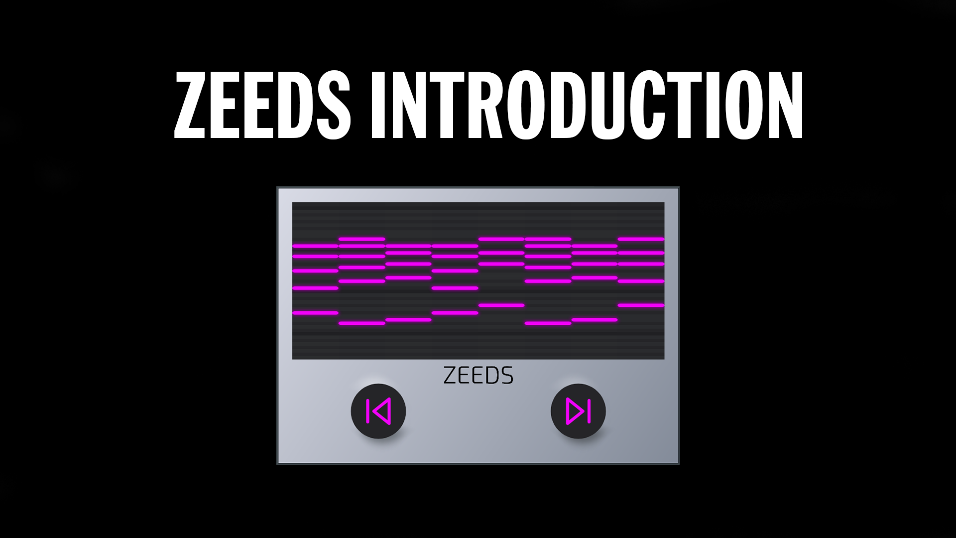 ZEEDS – JORM MUSIC